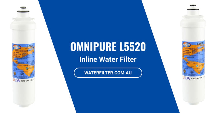 Omnipure L5520 - [All You Need to Know About] – AquaCo Water Filters